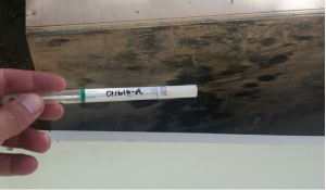 Mold Testing and Remediation - Austin Air Mold Toolkit