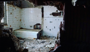 Types of Mold - Austin Air Mold Toolkit